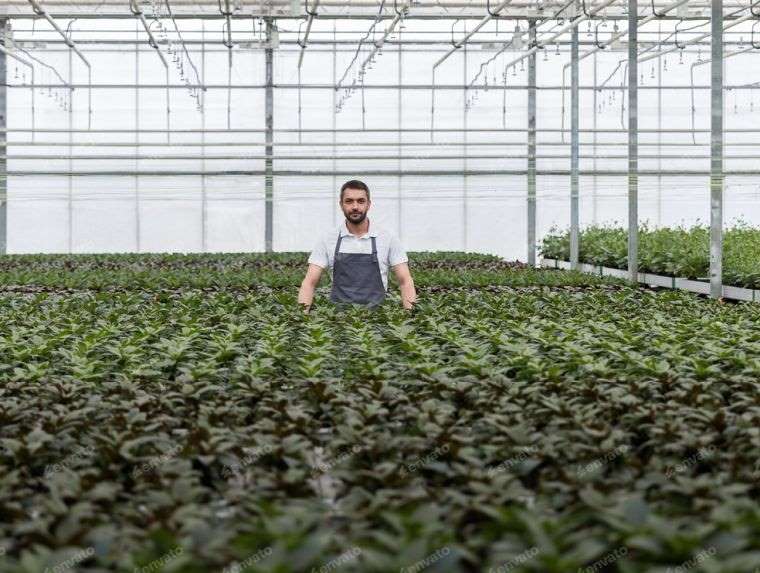 Alliander Jaarverslag